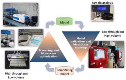 Microbial Cell Factory Research Team – BIOTEC