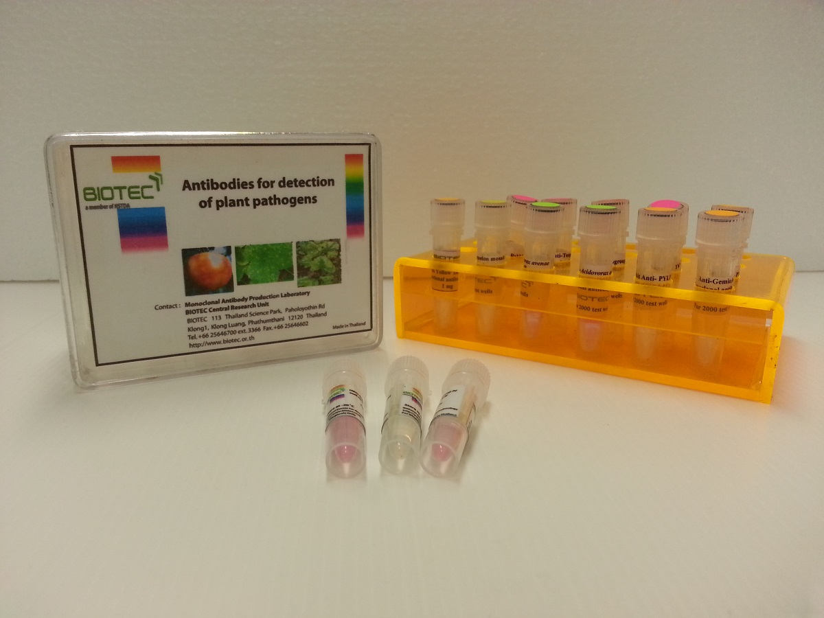 Monoclonal Antibody Production and Application Research Team – BIOTEC