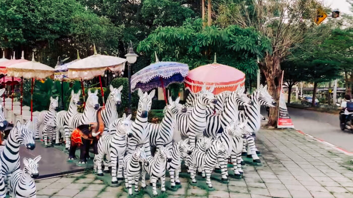 ไบโอเทค โครงการเพื่อนสวนพฤกษ์ และเดนท์สุ ครีเอทีฟ ประเทศไทย เปิดตัว ...