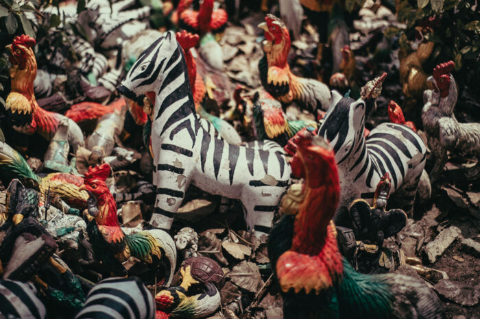 ไบโอเทค โครงการเพื่อนสวนพฤกษ์ และเดนท์สุ ครีเอทีฟ ประเทศไทย เปิดตัว ...