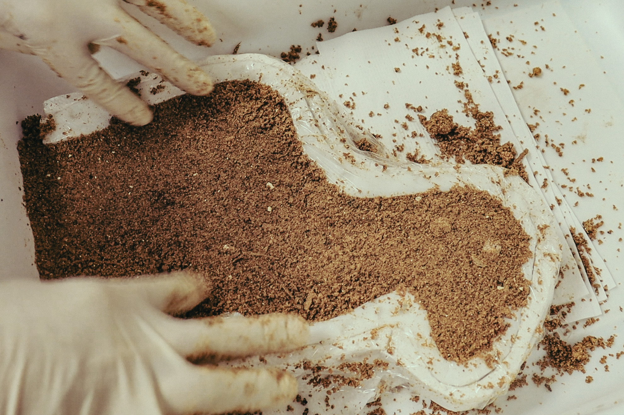 BIOTEC, Forest Friends Project and Dentsu Creative Thailand unveiled ...