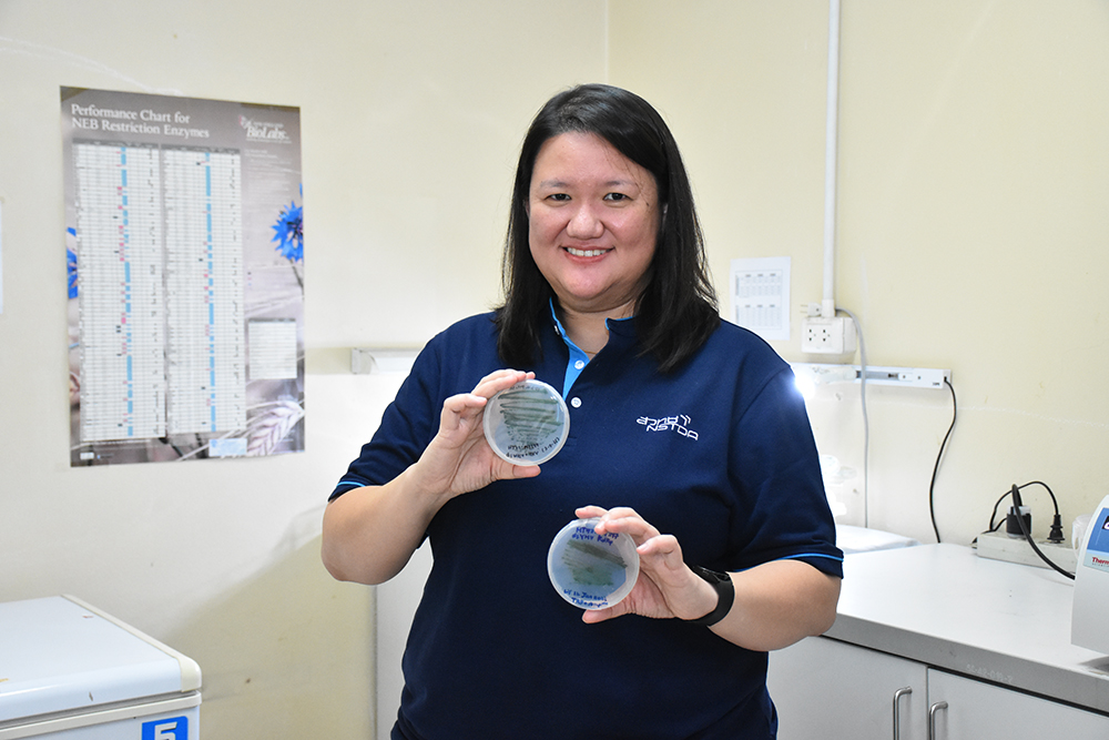 BIOTEC-NSTDA Announces Over-20-Year Commitment to Algae Research for ...