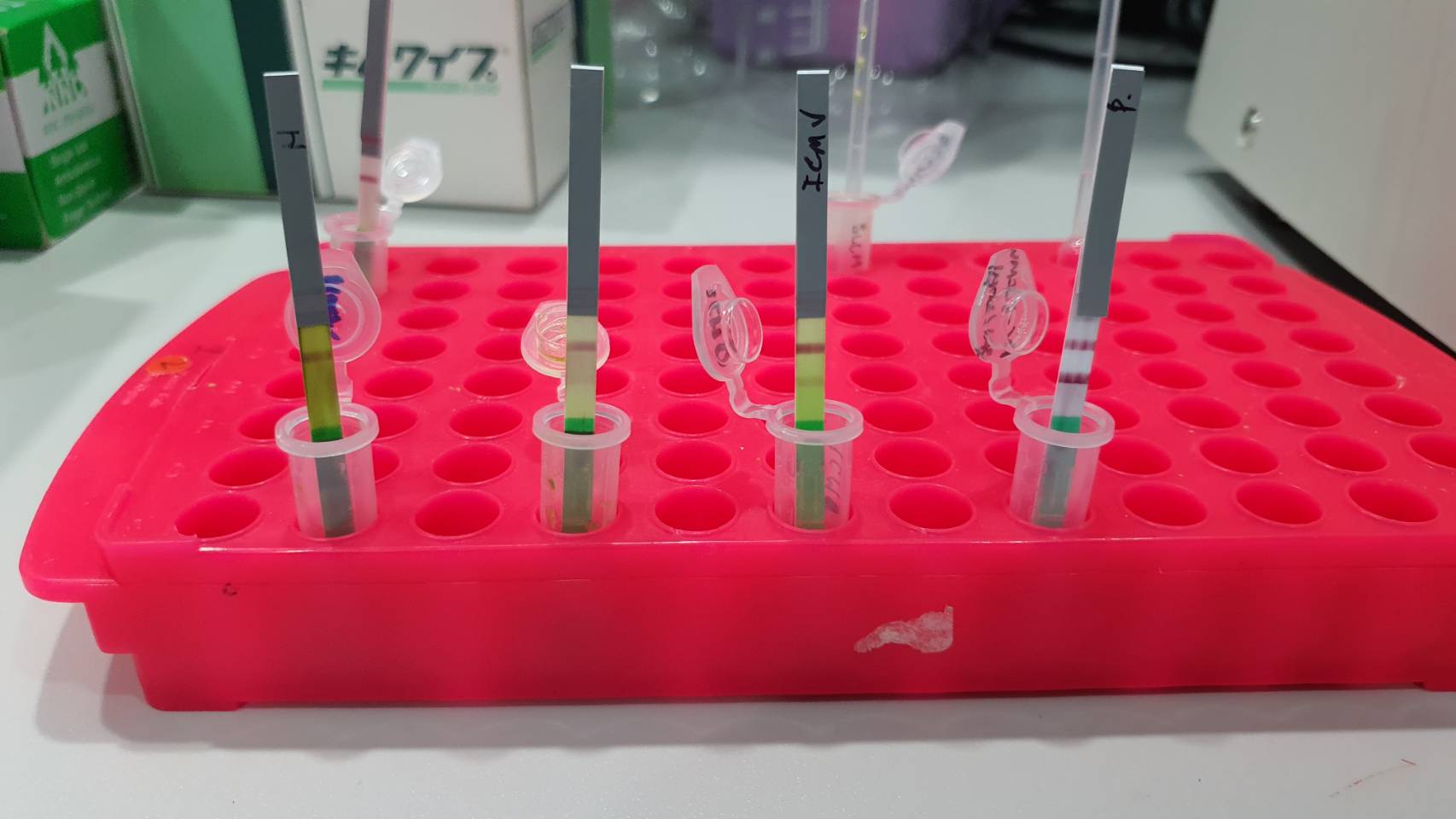 BIOTEC-NSTDA’s Knowledge Transfer With Lao Farmers and Experts to ...