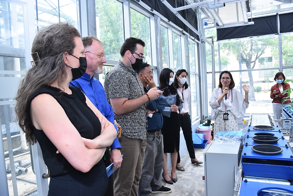 Winrock visited BIOTEC to explore our success story on cassava value ...