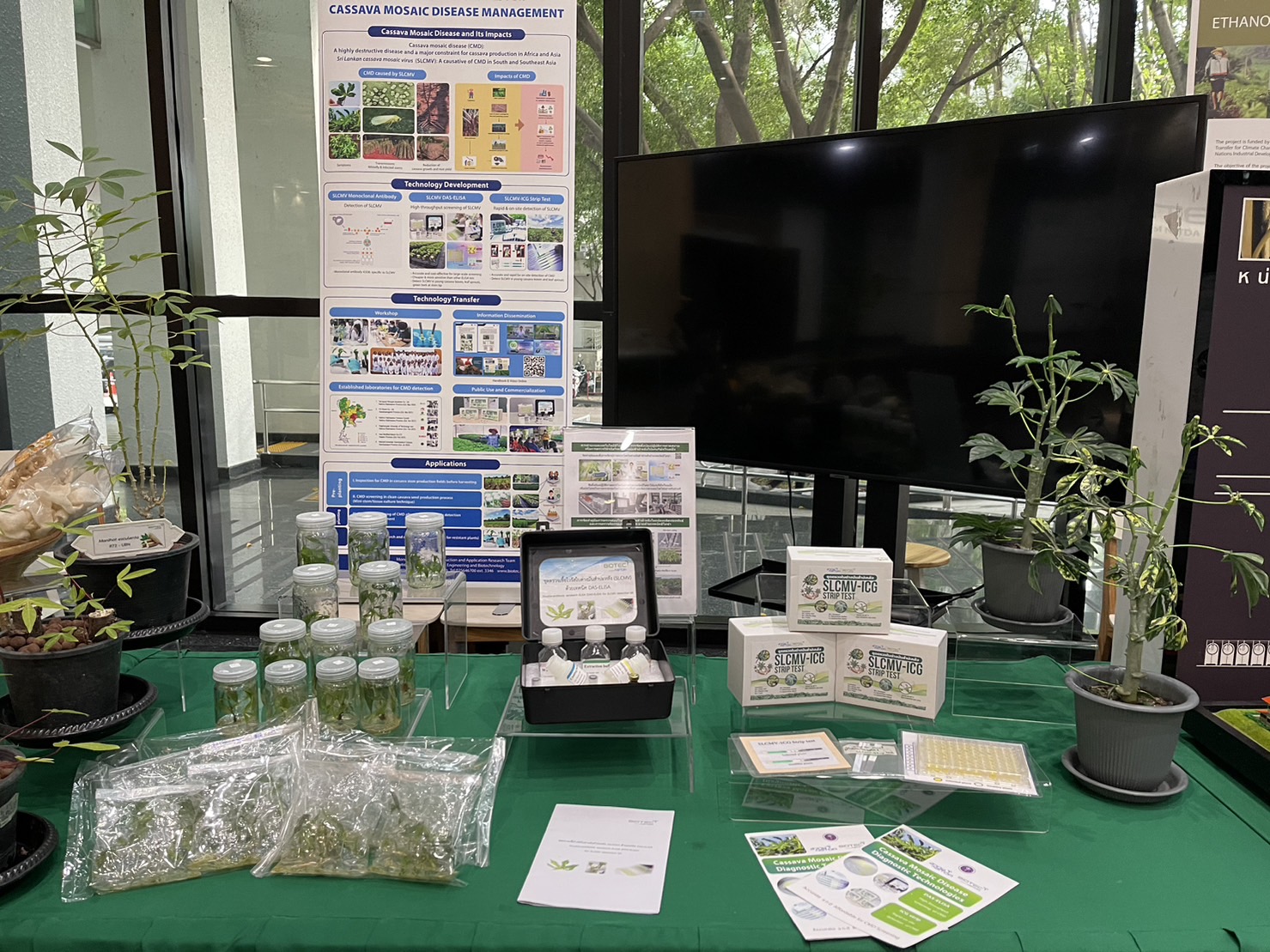 Vice Minister of Chinese Ministry of Science and Technology Strengthens ...