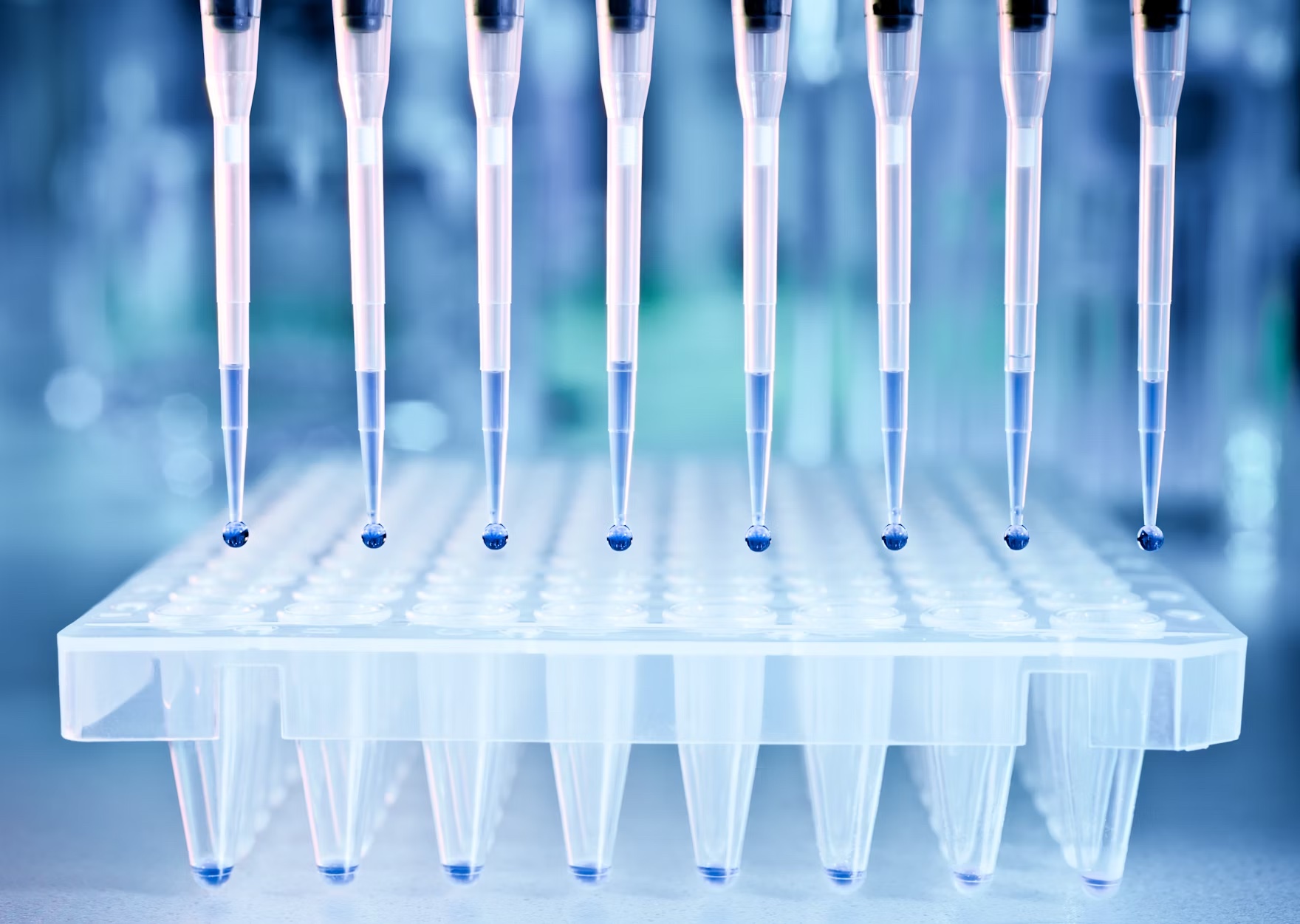 ทีมวิจัยและพัฒนาบริการด้านเพาะเลี้ยงสัตว์น้ำ – BIOTEC