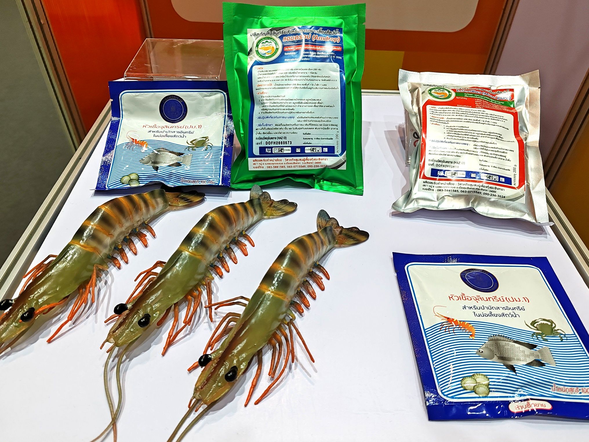 ไบโอเทค ร่วมทัพเสิร์ฟงานวิจัยพร้อมใช้ ในงาน THAILAND TECH SHOW 2024 ภายใต้ อว.FAIR – BIOTEC