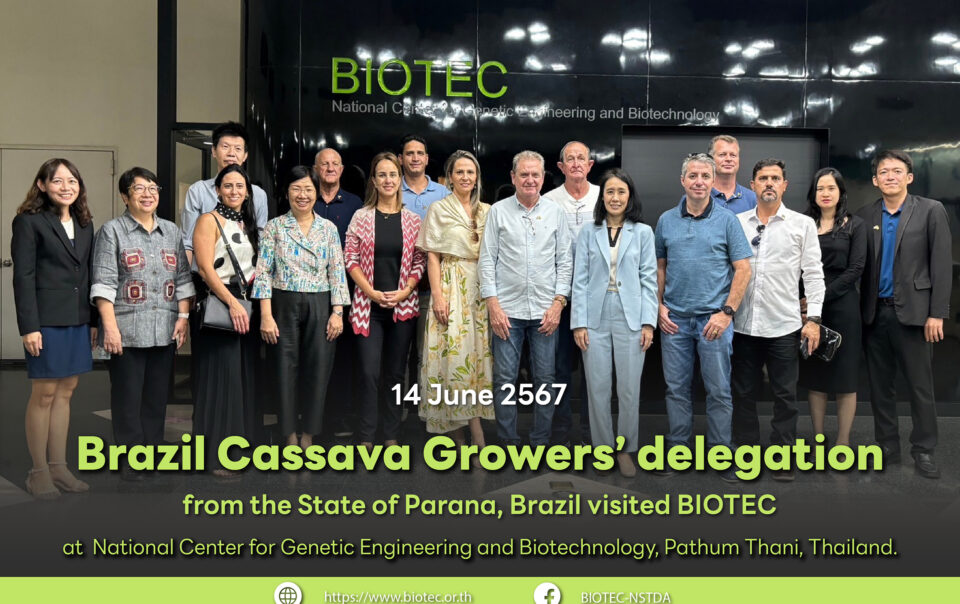 NEWS – BIOTEC