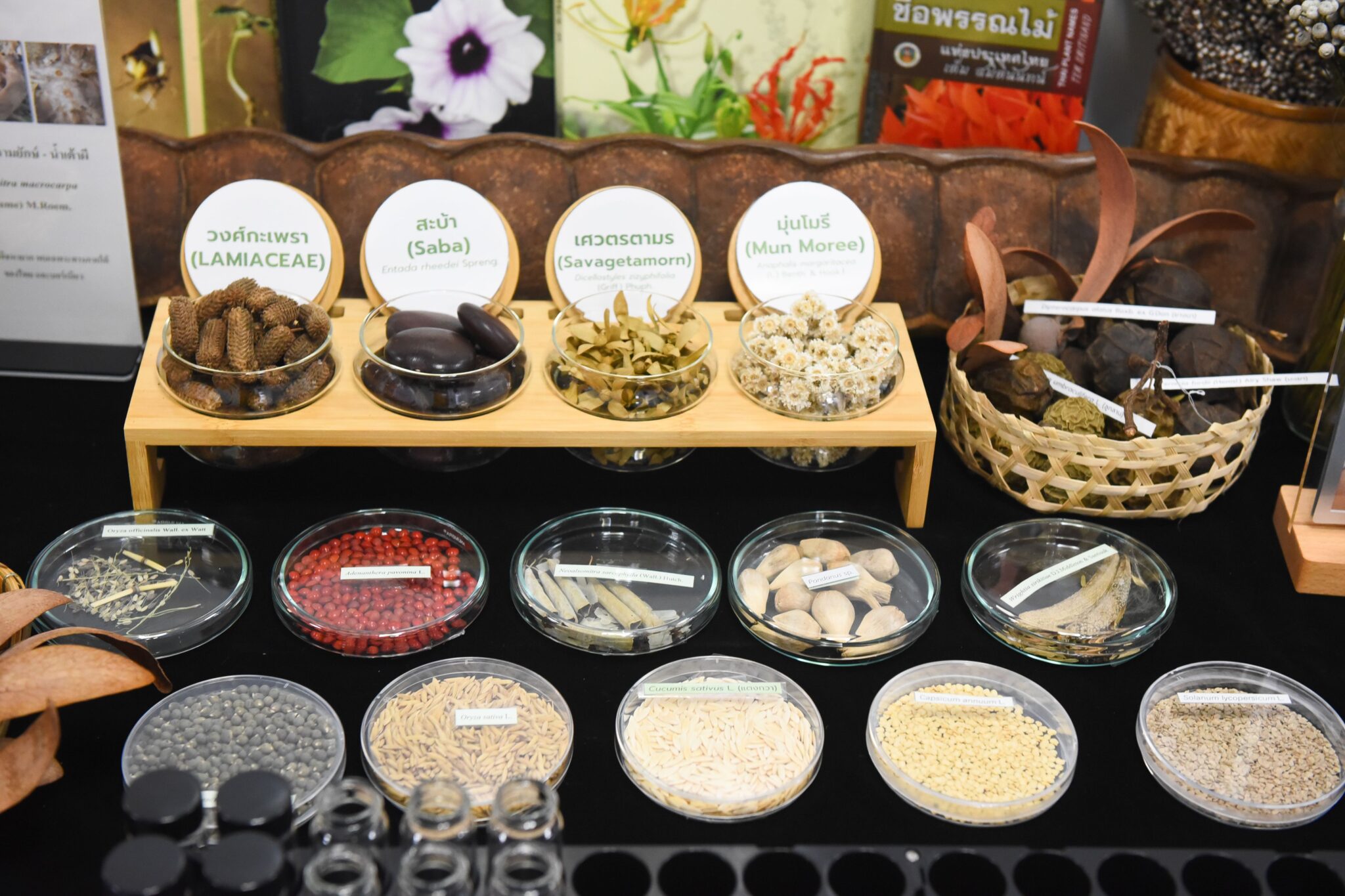 สผ.-สวทช. ร่วมลงนาม MOU พัฒนาฐานข้อมูลกลางด้านความหลากหลายทางชีวภาพของประเทศไทย – BIOTEC