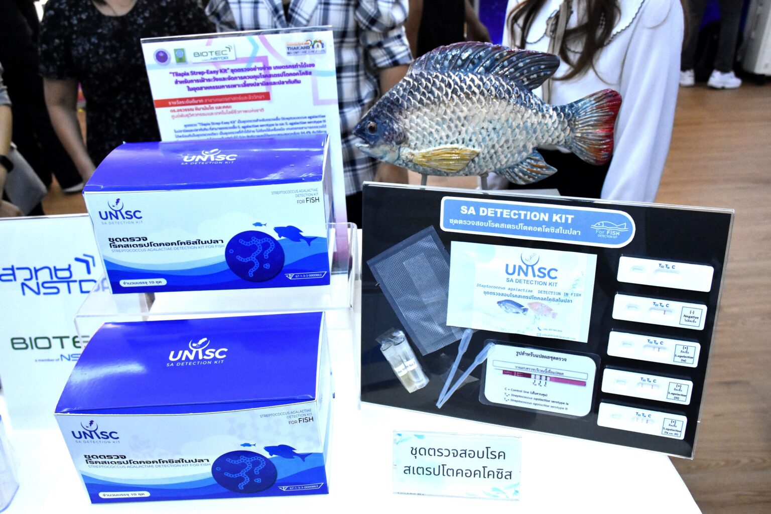 ไบโอเทค-สวทช. นำ “ชุดตรวจโรคสเตรปโตคอคโคซีสในปลา” ผลงานประดิษฐ์คิดค้นระดับดีมาก ร่วมอวดโฉมในงาน ...