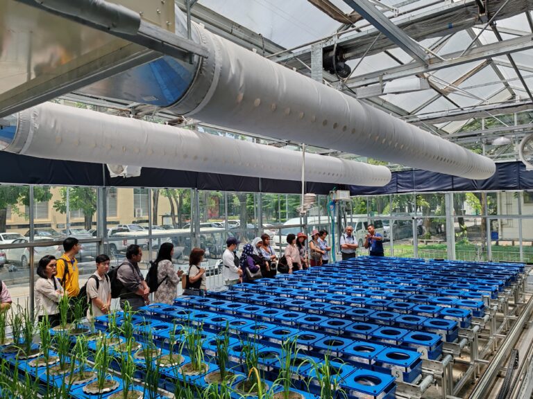 BIOTEC-NSTDA welcomes IRRI delegation for a visit and knowledge ...