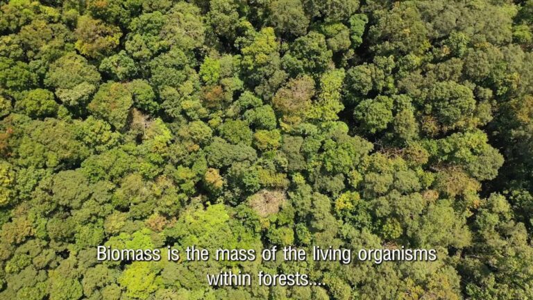 NSTDA and IRD Renew Partnership to Strengthen Scientific Collaboration on Biodiversity, Climate ...