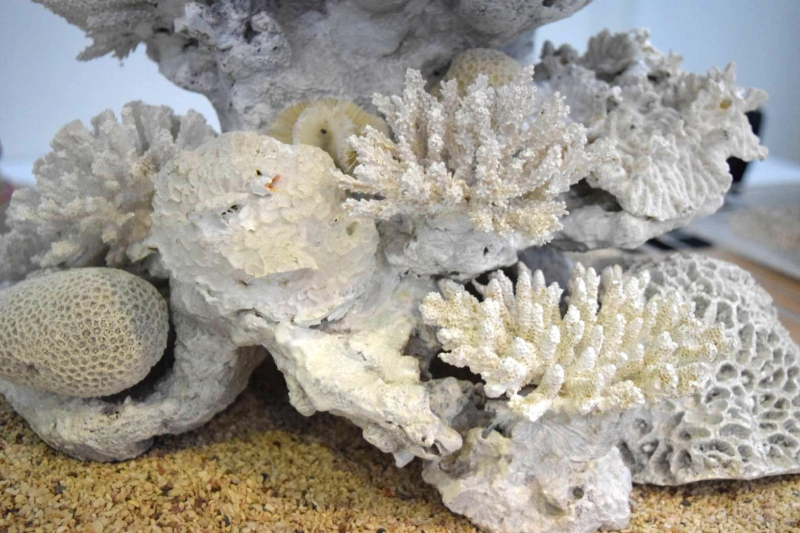 National Omics Center (NOC) is leading Thailand towards a bioeconomy ...