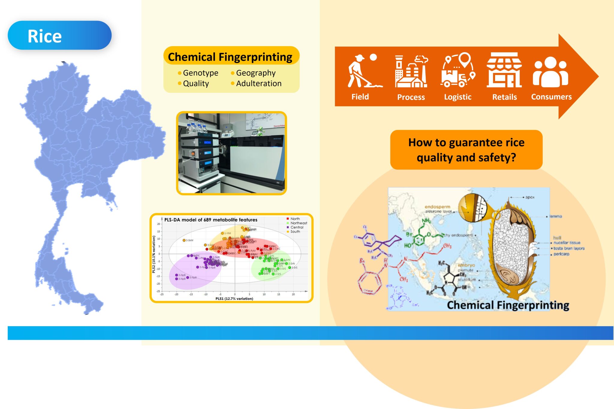 Research Activities - International Joint Research Center on Food Security