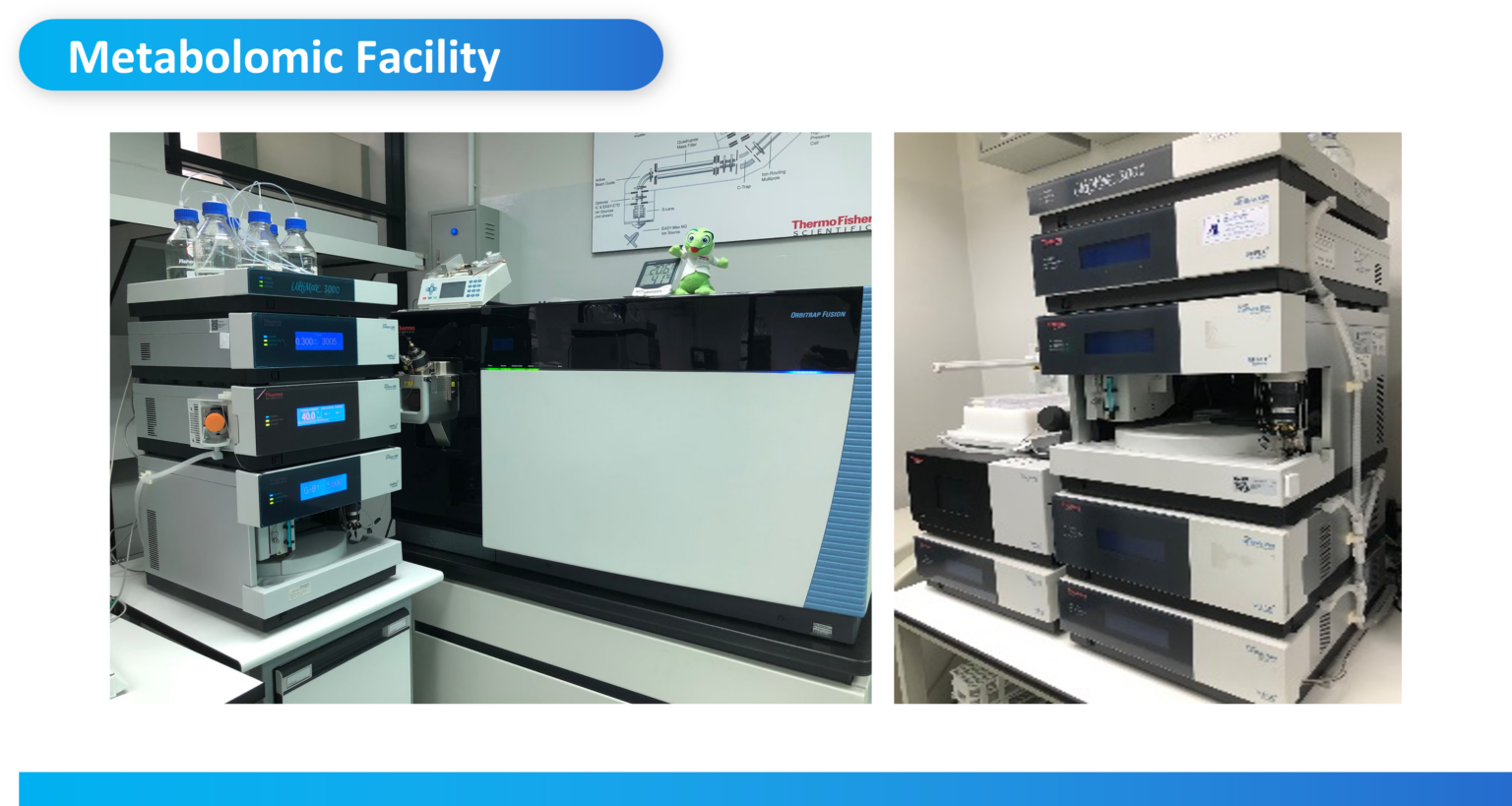 Research Facilities - International Joint Research Center on Food Security