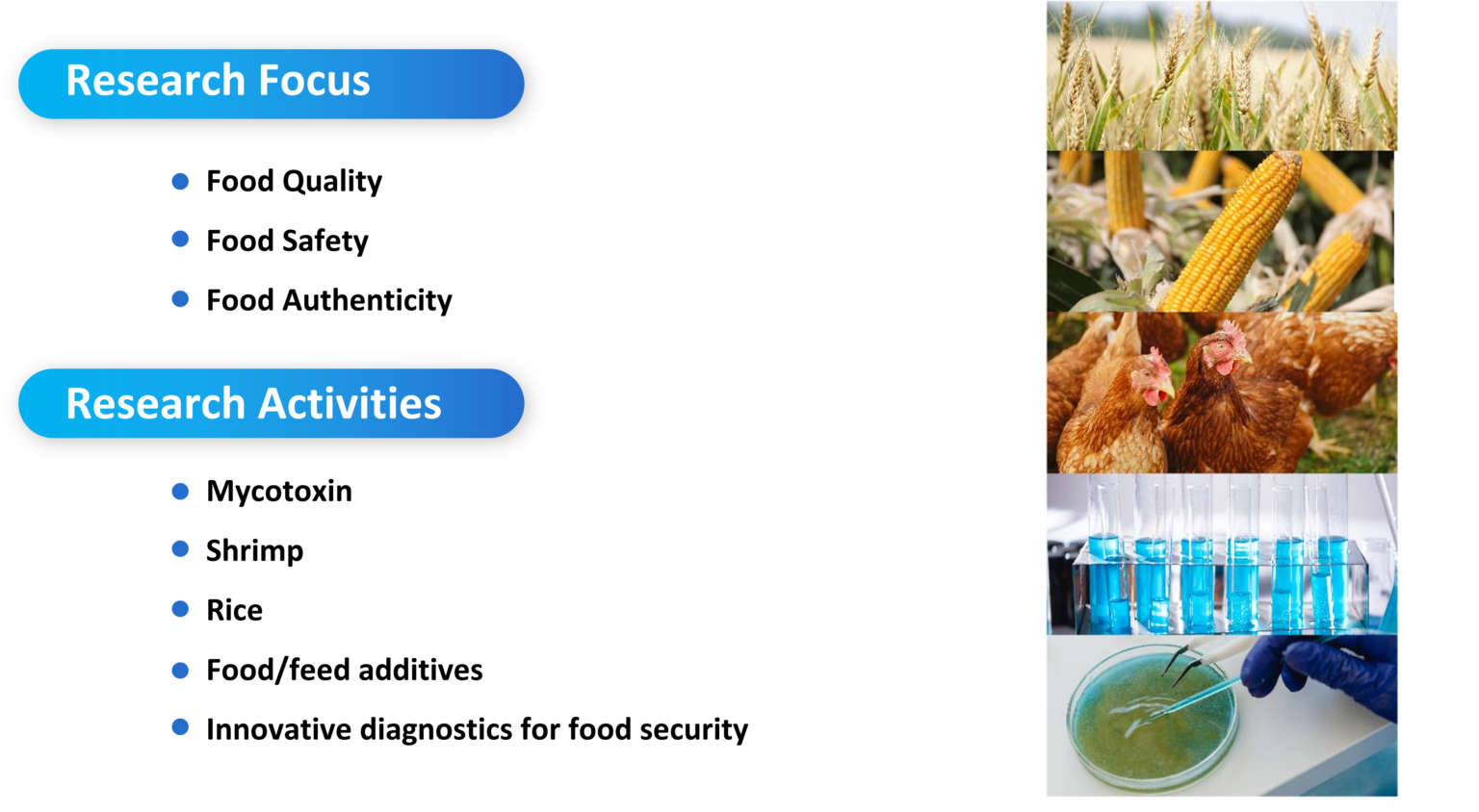 Research Activities - International Joint Research Center on Food Security