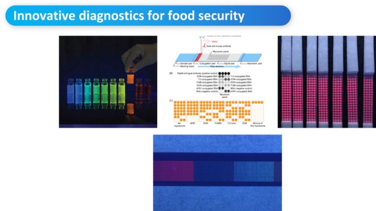 Innovative diagnostics for food security - International Joint Research ...